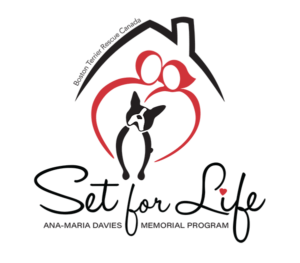 Set For Life Dogs – Boston Terrier Rescue Canada