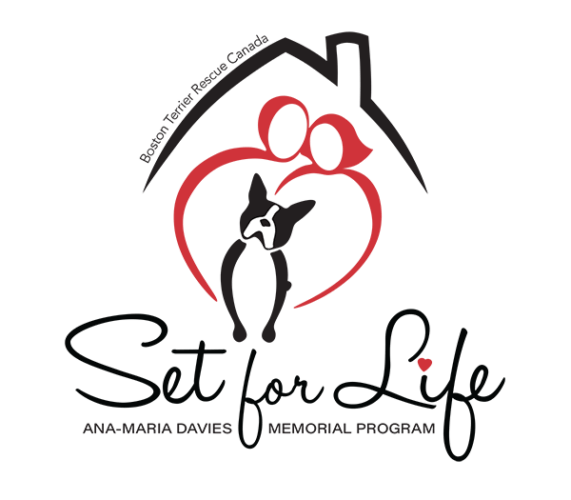 Set For Life Dogs – Boston Terrier Rescue Canada